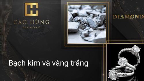 Bạch kim và vàng trắng là gì? Kim loại nào đắt hơn?