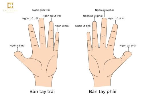 Ý nghĩa các ngón tay đeo nhẫn cho nam và nữ chi tiết A-Z | Cao Hùng Diamond