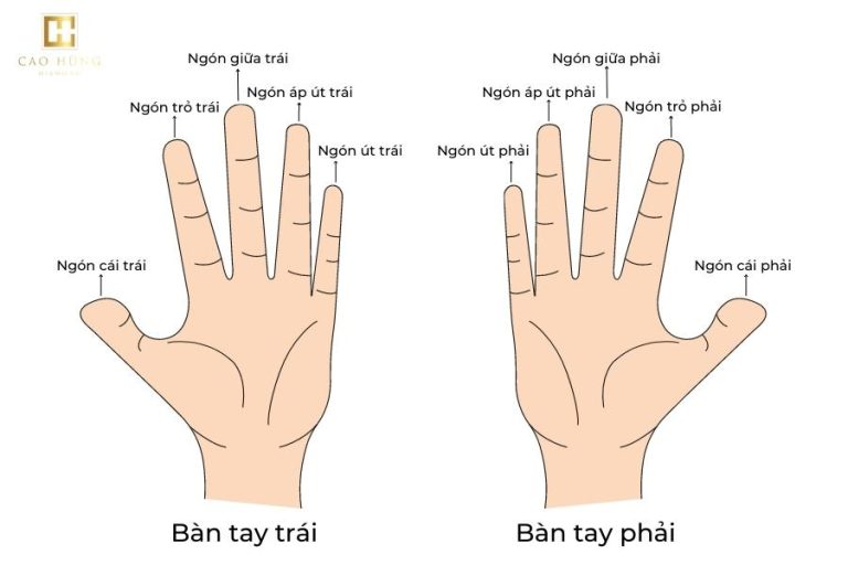 Ý nghĩa các ngón tay đeo nhẫn cho nam và nữ chi tiết A-Z | Cao Hùng Diamond